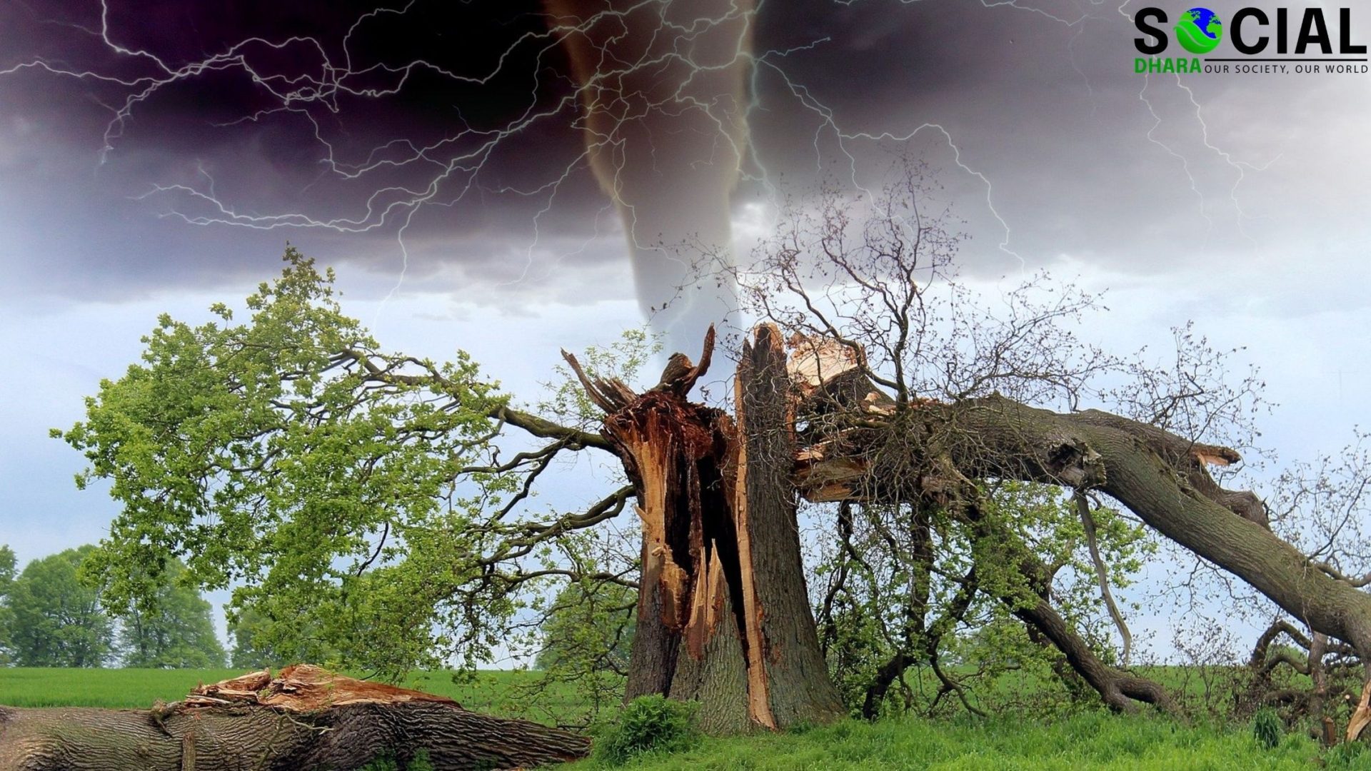 Effects Of Natural Disasters In Human Lives | SocialDhara