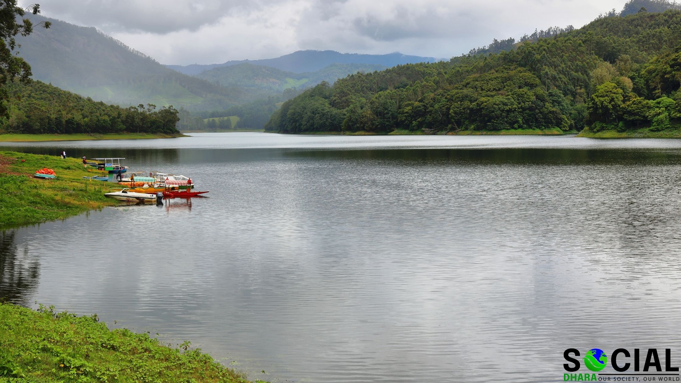 Wonders Of Munnar You Did Not Know About | SocialDhara