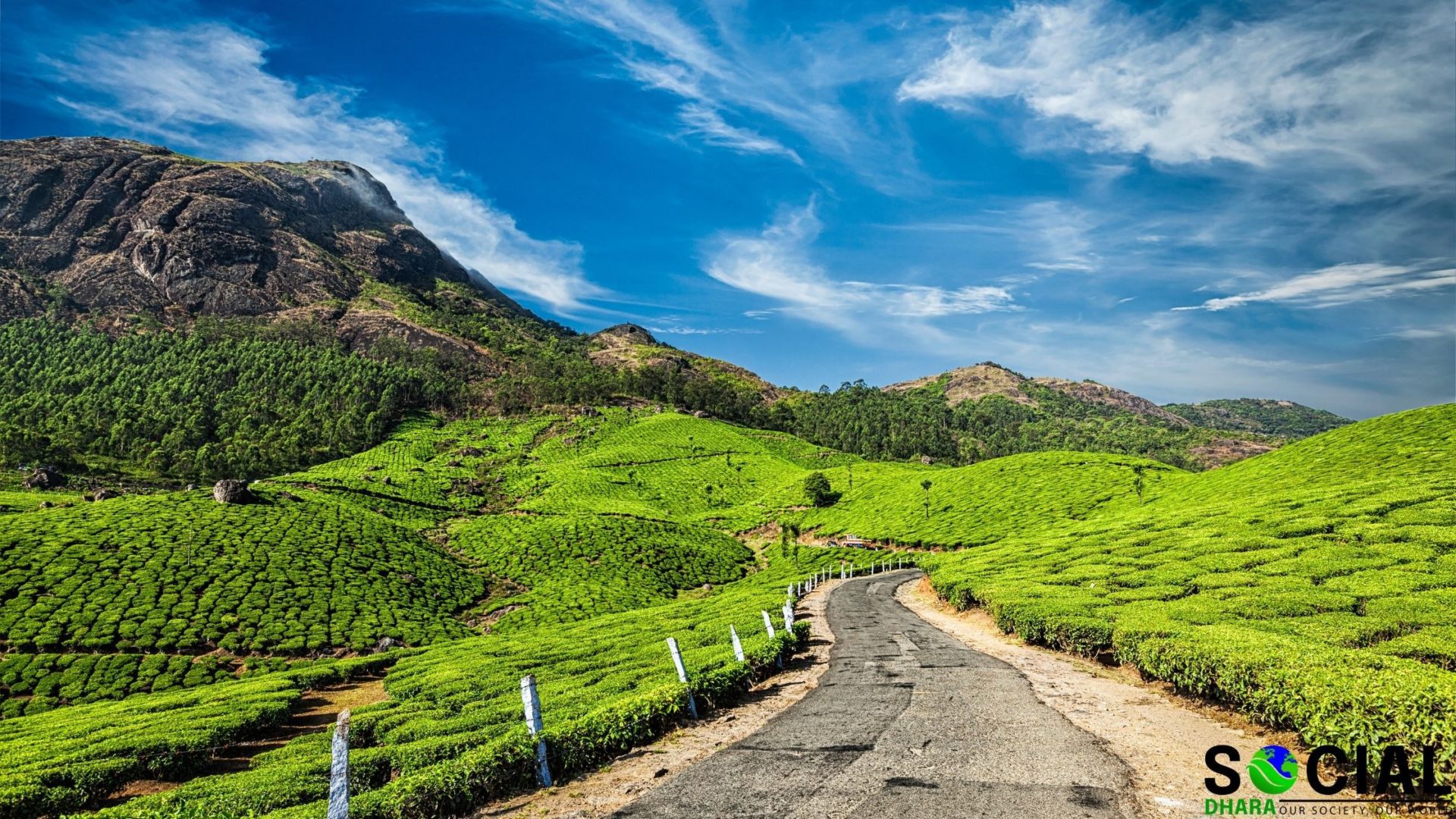 Wonders Of Munnar You Did Not Know About | SocialDhara