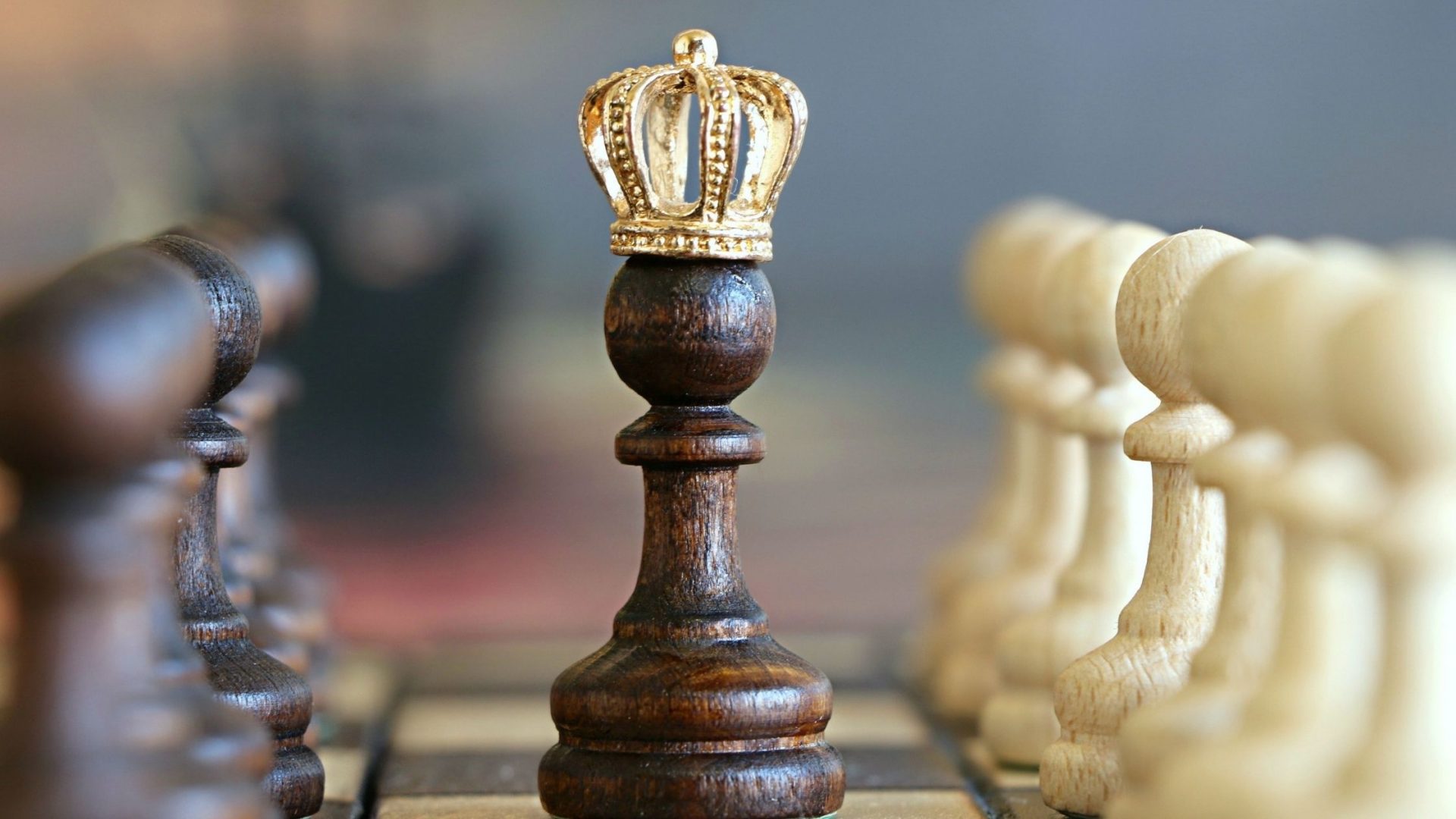 How To Make A Win-Win Situation For All? | SocialDhara
