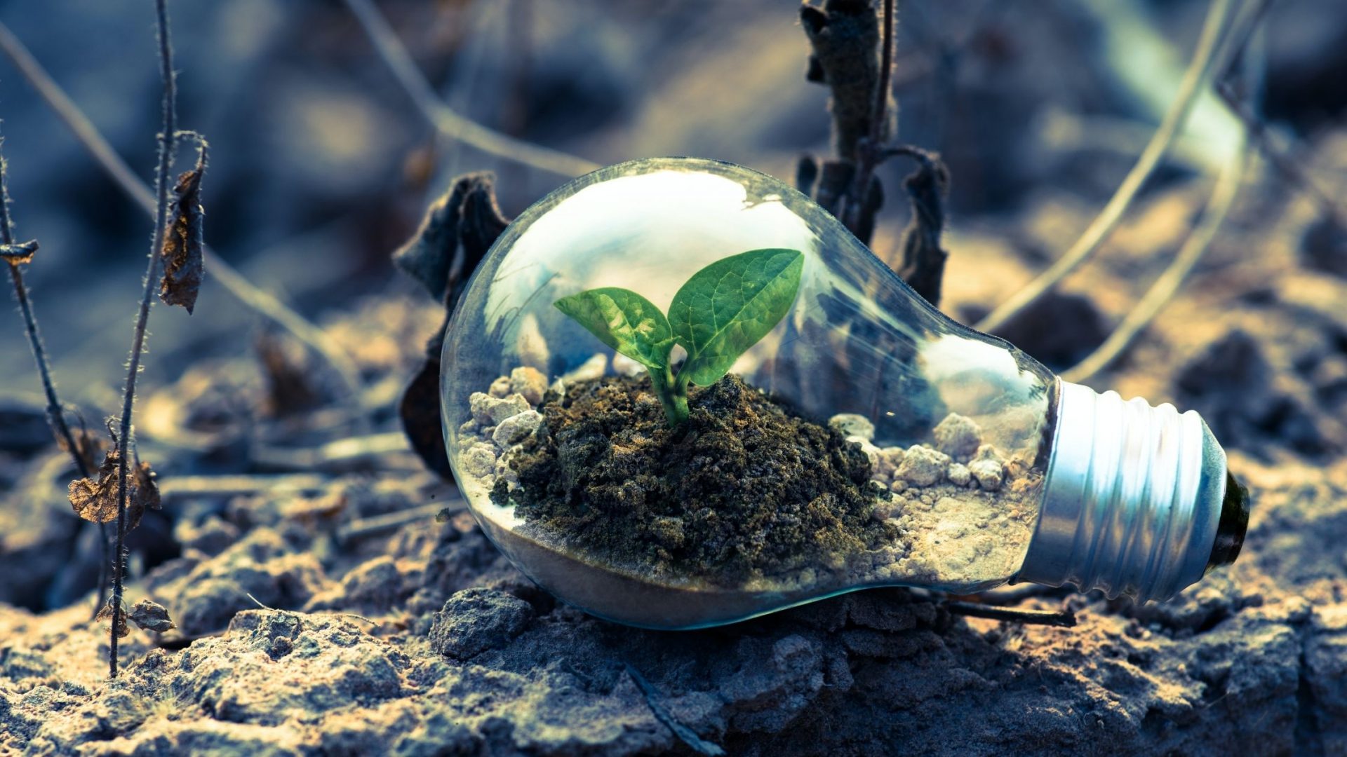 Pollution: A Particle In A Global Environment | SocialDhara
