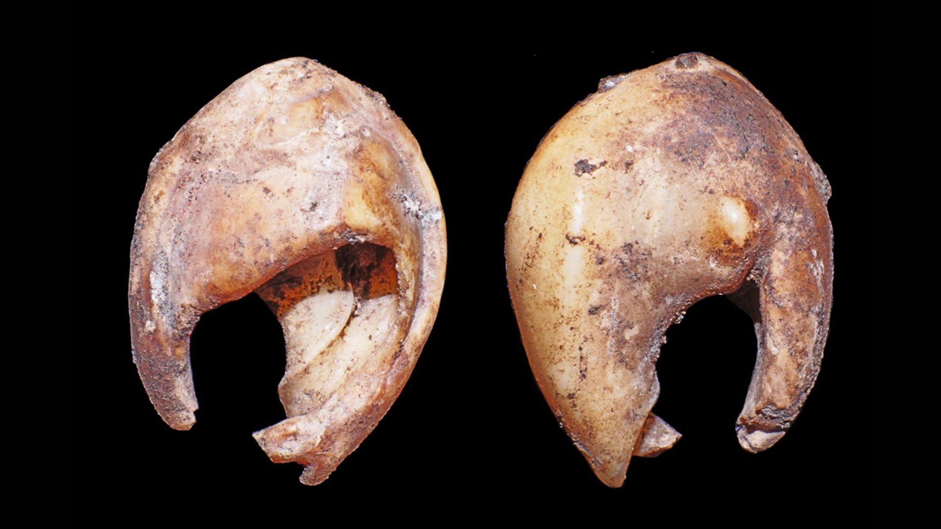 Most Iconic Artifacts Ever Discovered On Earth | SocialDhara