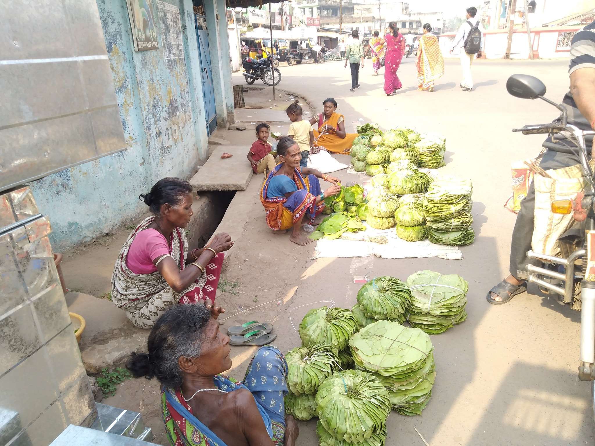 Leaf Plates: A Sustainable Livelihood Option For Tribals – Some Issues ...
