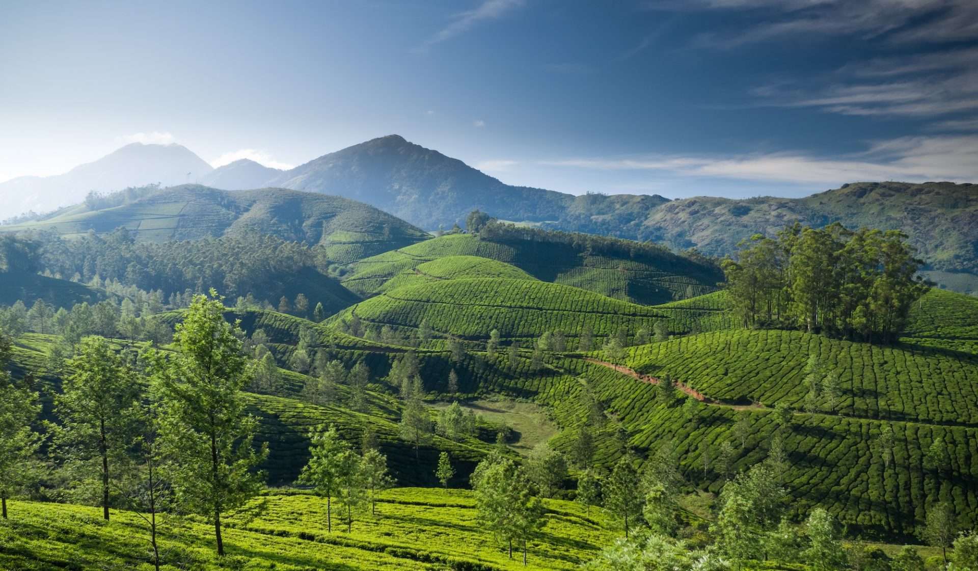 Top 10 Places In India To Visit In Monsoon | SocialDhara