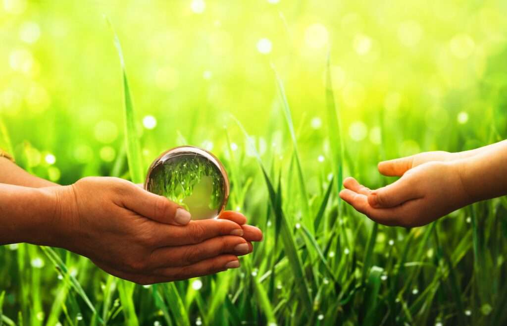 The Four Fundamental Principles Of Environmental Law | SocialDhara