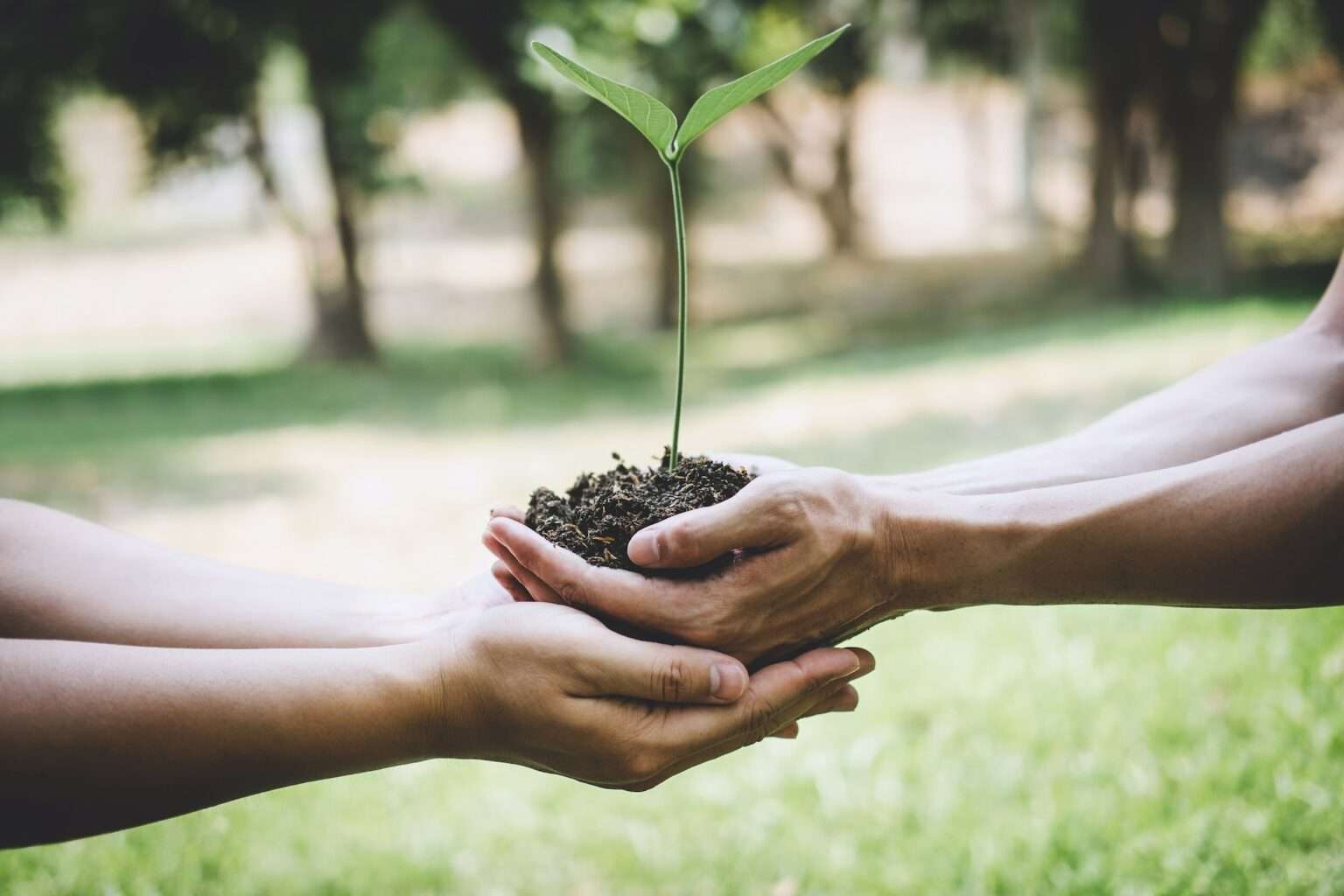 Importance Of Environment To Human Life | SocialDhara