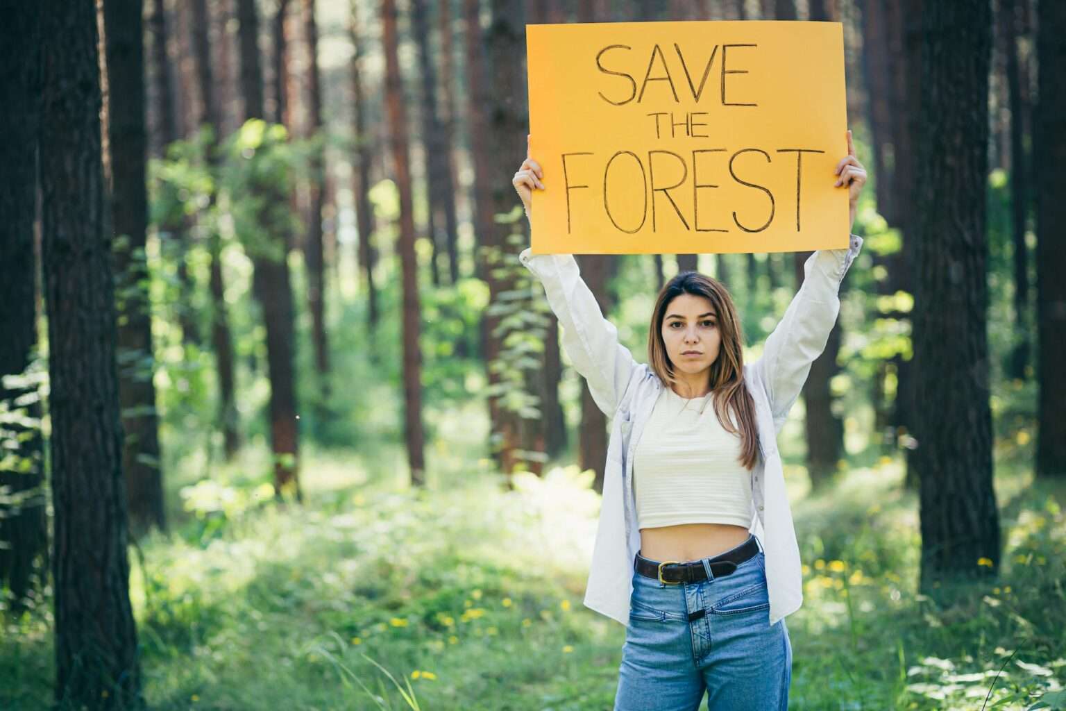 Effects Of Deforestation On Humans | SocialDhara