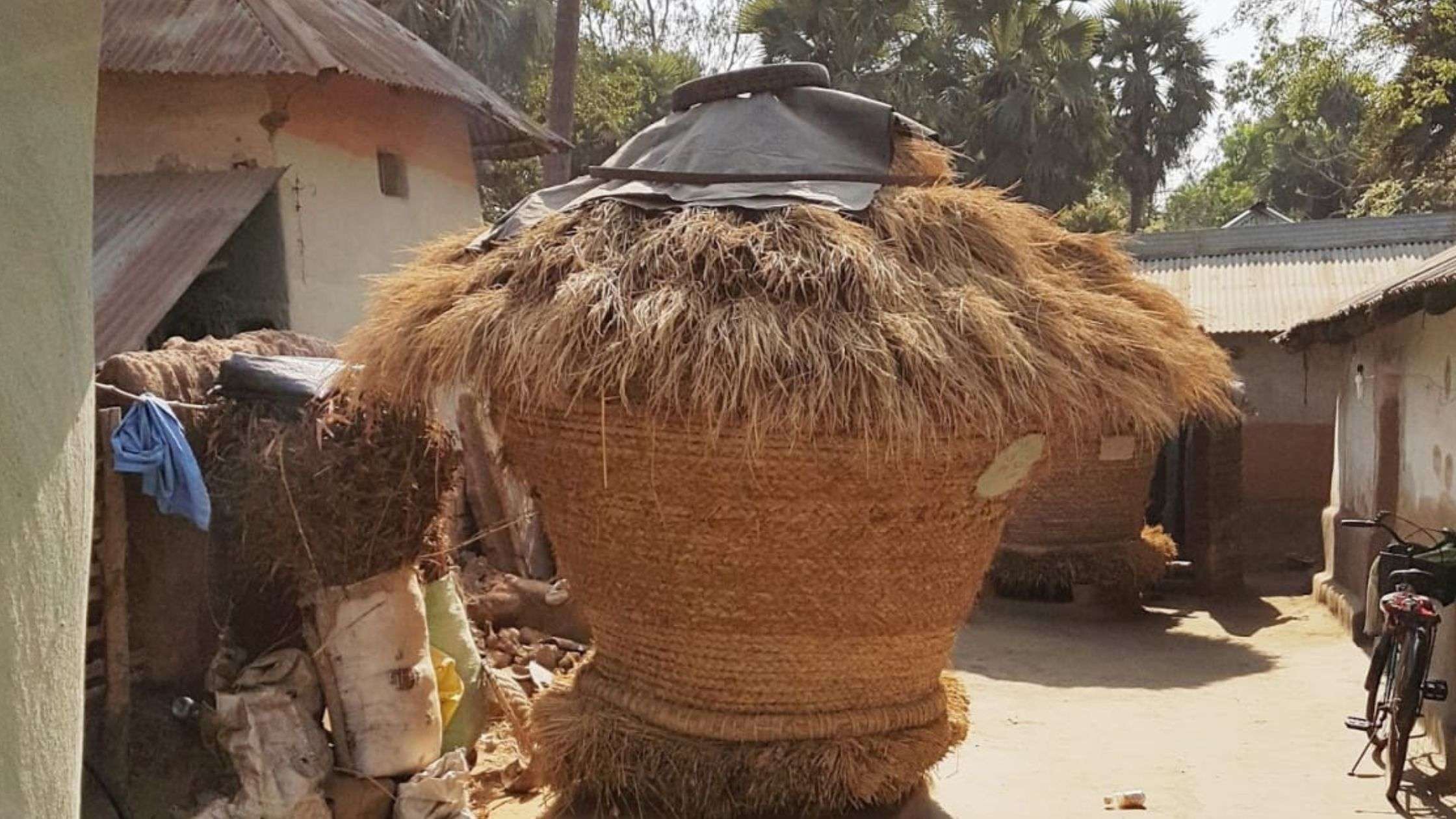 Safeguarding Traditional Seed Storage Systems For Sustainable ...