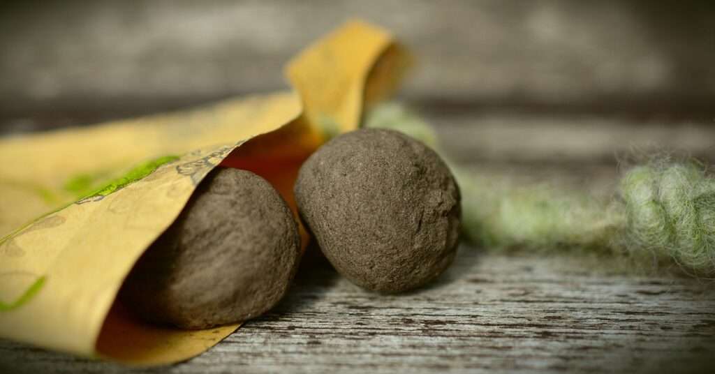 Seed Balls: Ensuring Afforestation On Degraded Lands And Forests ...