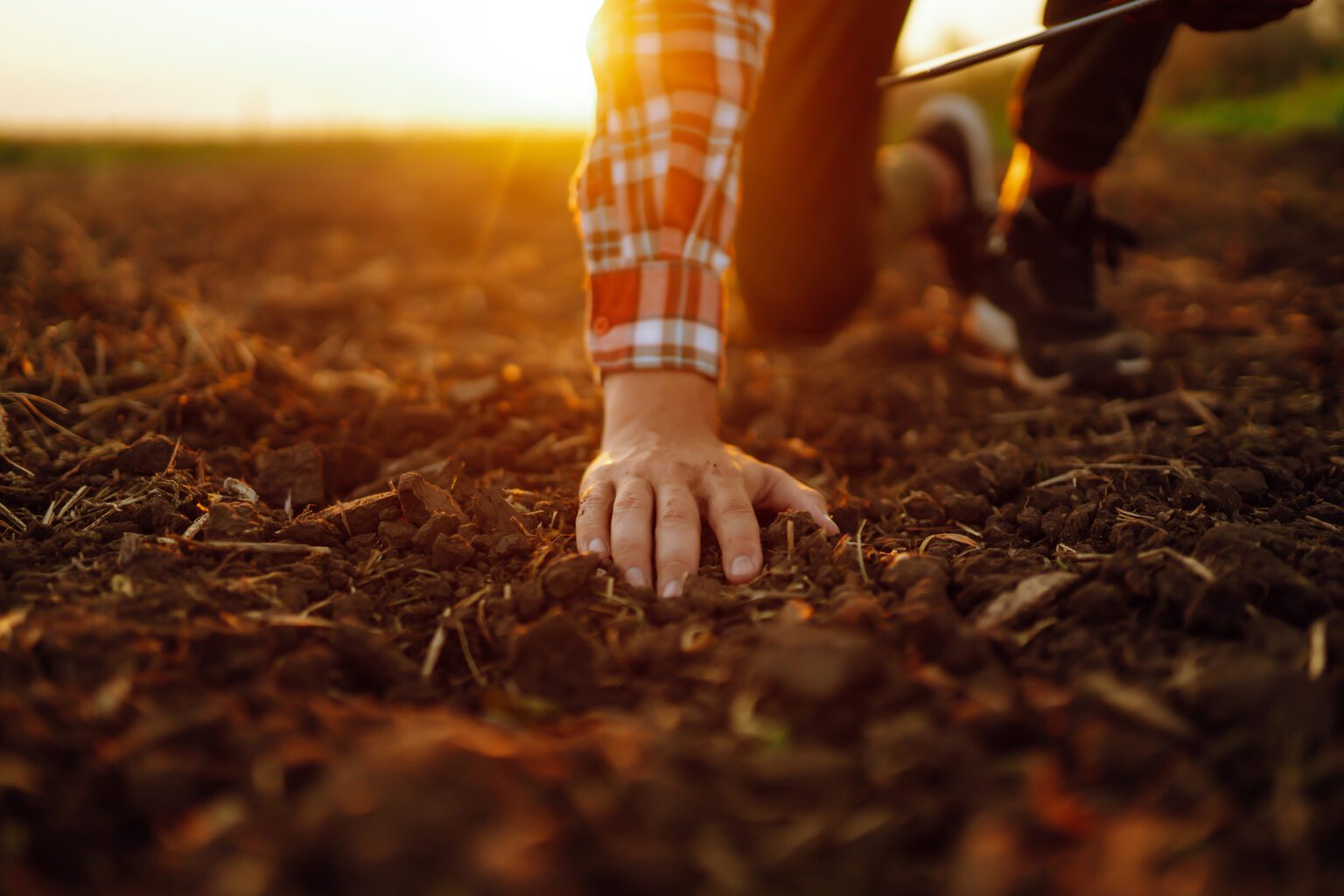 Soil Health Management: Challenges And Opportunities | SocialDhara