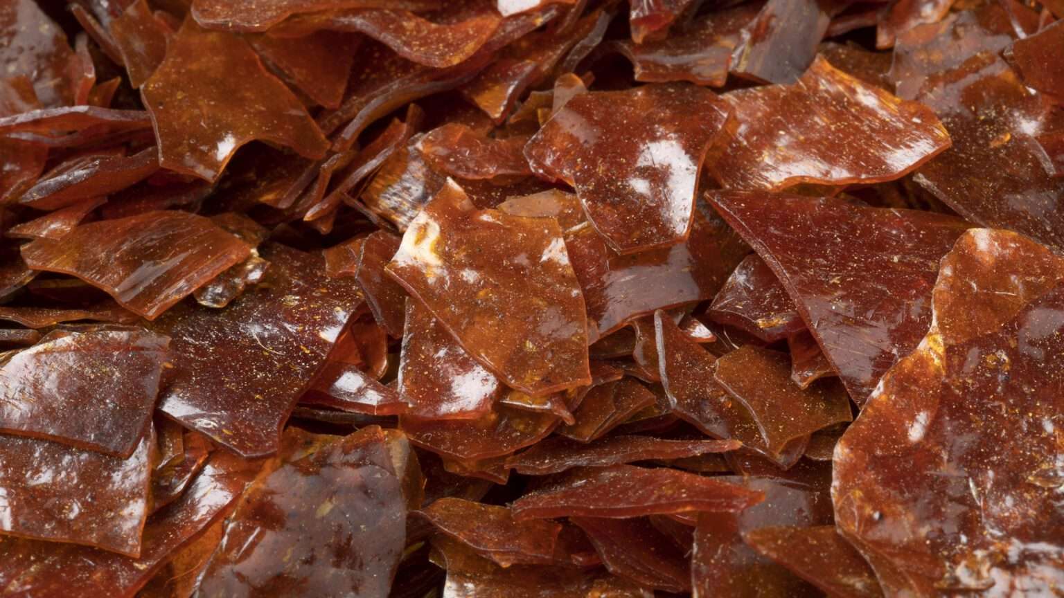 Exploring India's Natural Resins, Gums, And Gum-Resins | SocialDhara