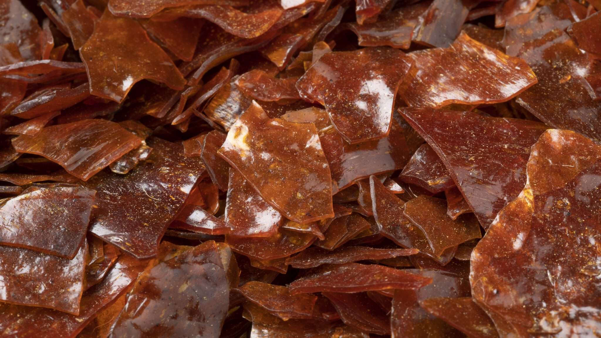 Exploring India's Natural Resins, Gums, And Gum-Resins | SocialDhara