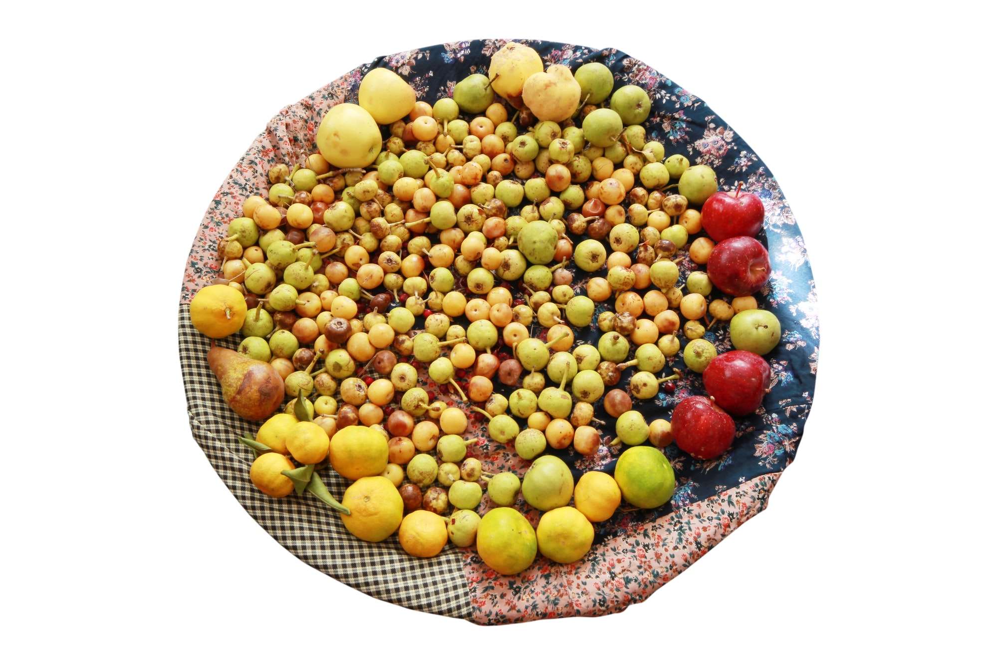 Importance Of Wild Fruits For Indigenous Communities In Odisha ...