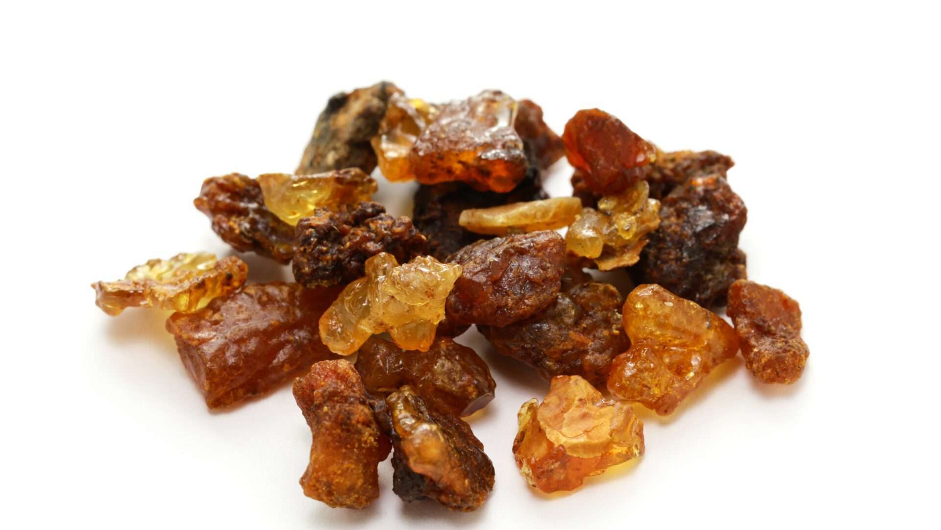 Exploring India's Natural Resins, Gums, And Gum-Resins | SocialDhara