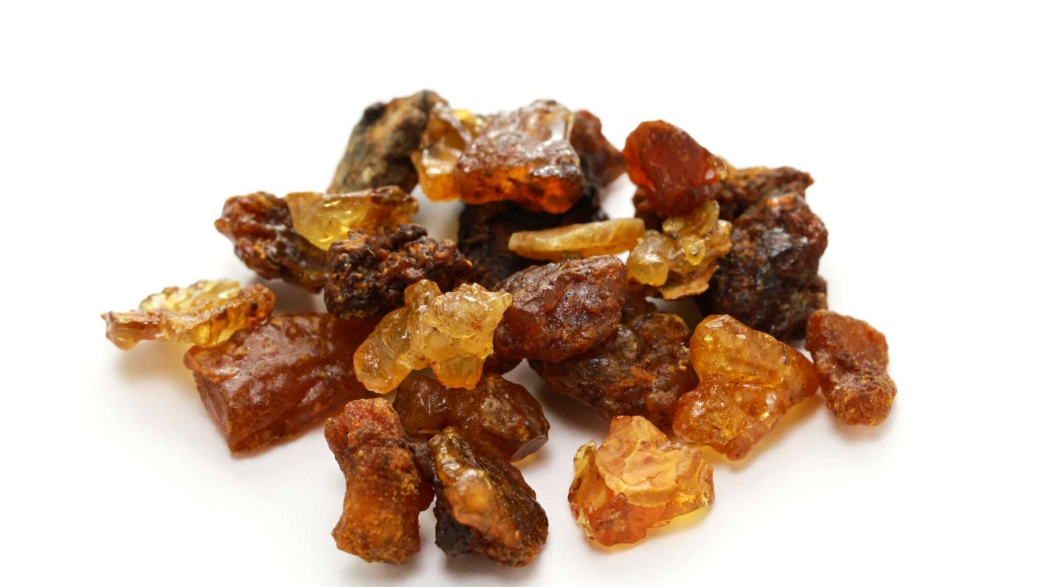 Exploring India's Natural Resins, Gums, And Gum-Resins | SocialDhara