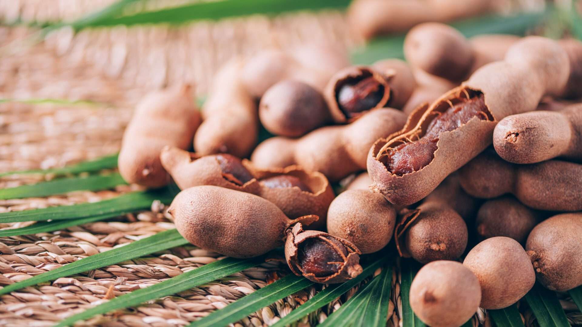 Tamarind: The Economic, Culinary, And Resilient Tree Of India | SocialDhara