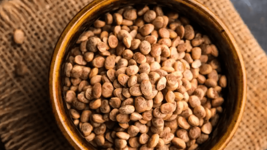 Chironji Conservation: Nurturing Tradition, Empowering Communities, And ...