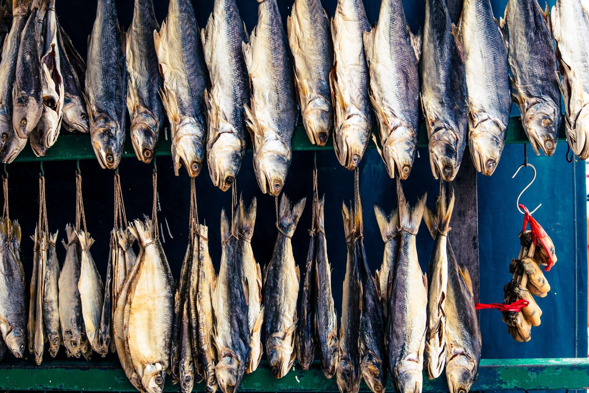 Dried Fish / Sukhua - Nourishing Palates Globally And Empowering ...