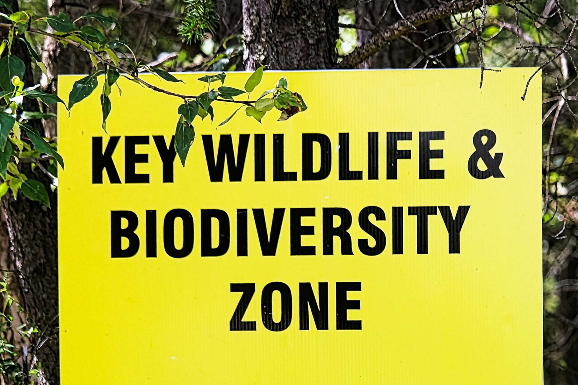 The National Biodiversity Act: A Critical Review Of Its Impact On Local ...